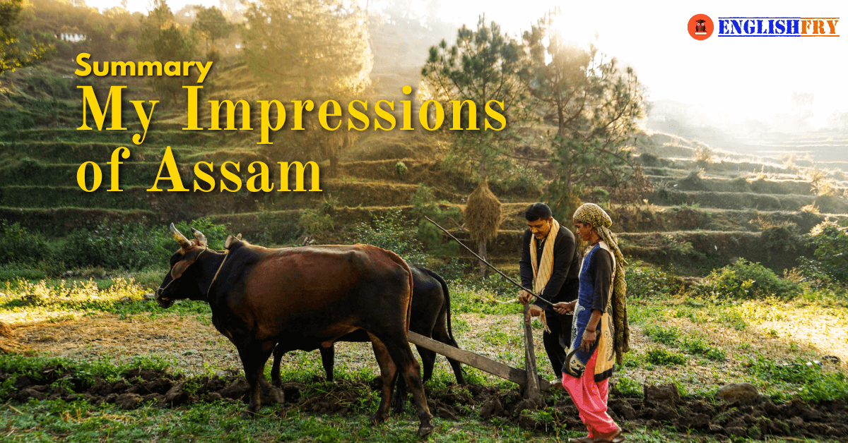My Impressions of Assam - Englishfry