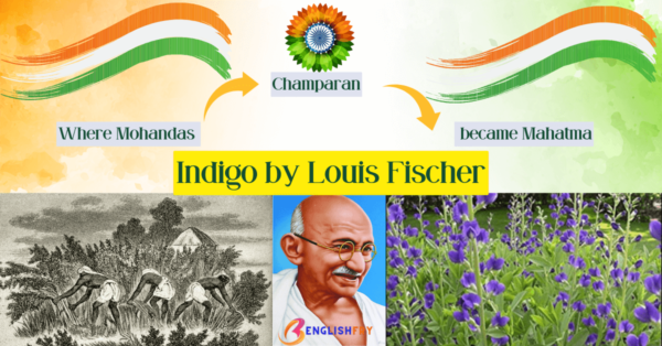 Indigo summary class 12 questions and answers - Englishfry